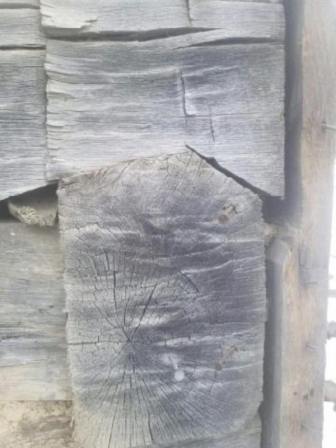 Reclaiming 1800s Era Oak Timber Cabins | Pioneermillworks