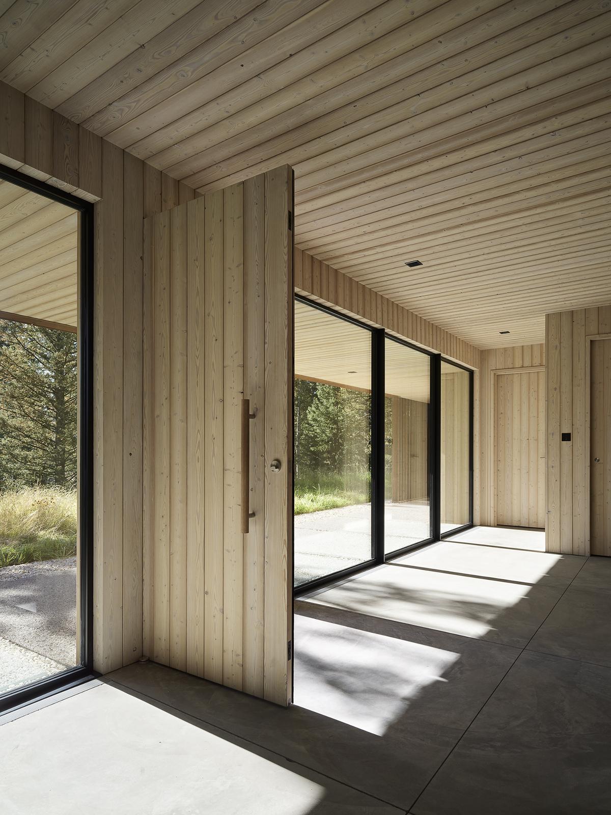 interior larch cladding